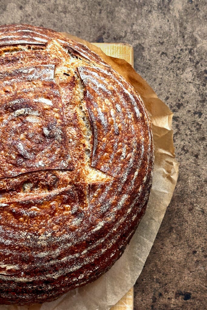 Roasted Garlic Sourdough Bread With Rosemary and Olive Oil - Not Just Food