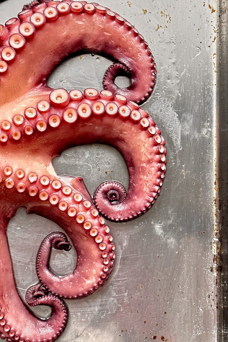 Easy Octopus Pasta Recipe With Spicy Tomato Sauce - Not Just Food
